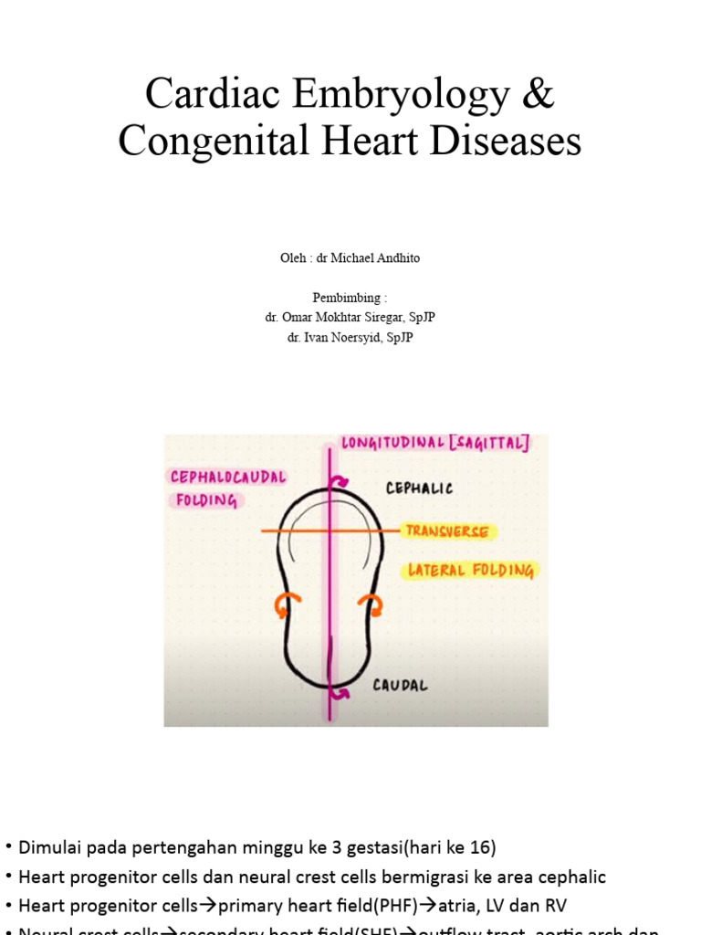 Cardiac Embryology | PDF