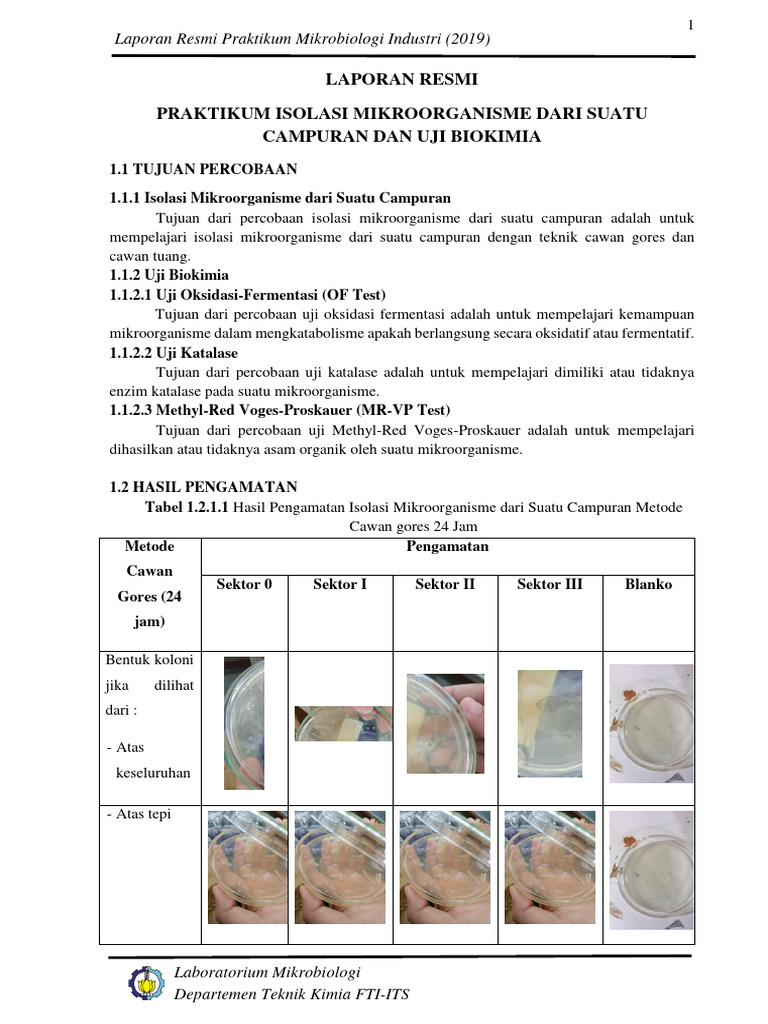 Lapres 2 | PDF | Sains & Matematika