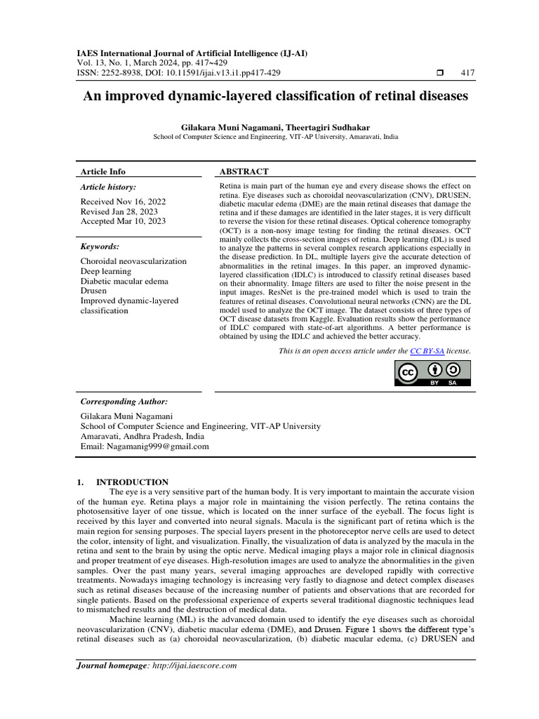 An Improved Dynamic-Layered Classification of Retinal Diseases | PDF ...