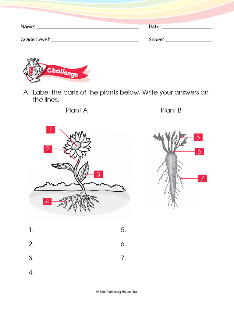 Plant Parts and Science Concepts Worksheet | PDF | Language Arts ...