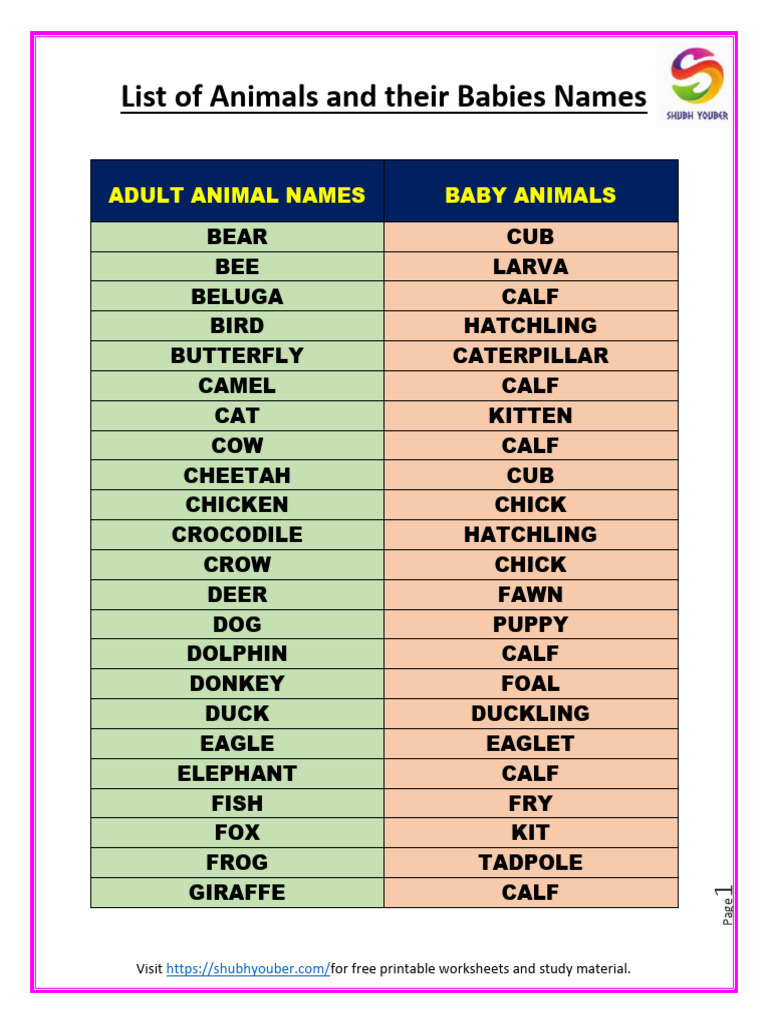 Animal Baby Names Animals And Their Babies Name #learningenglish