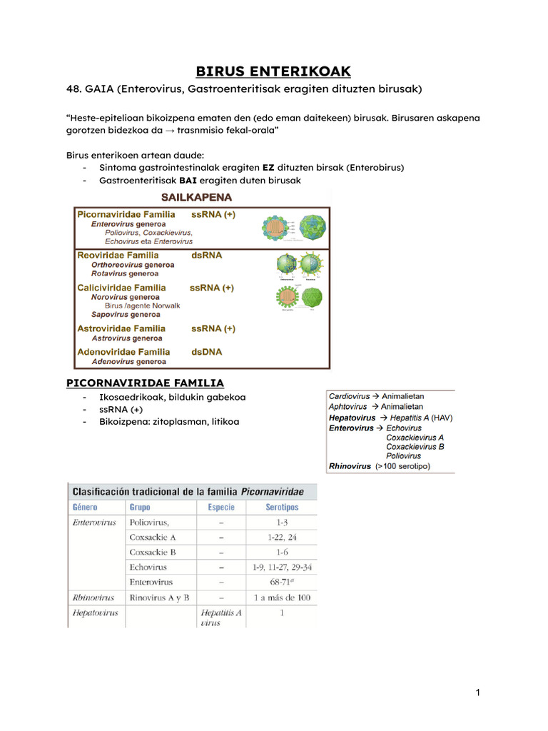 Birus Enterikoak | PDF