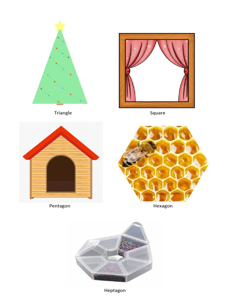 Polygon in Everyday Life 2 | PDF