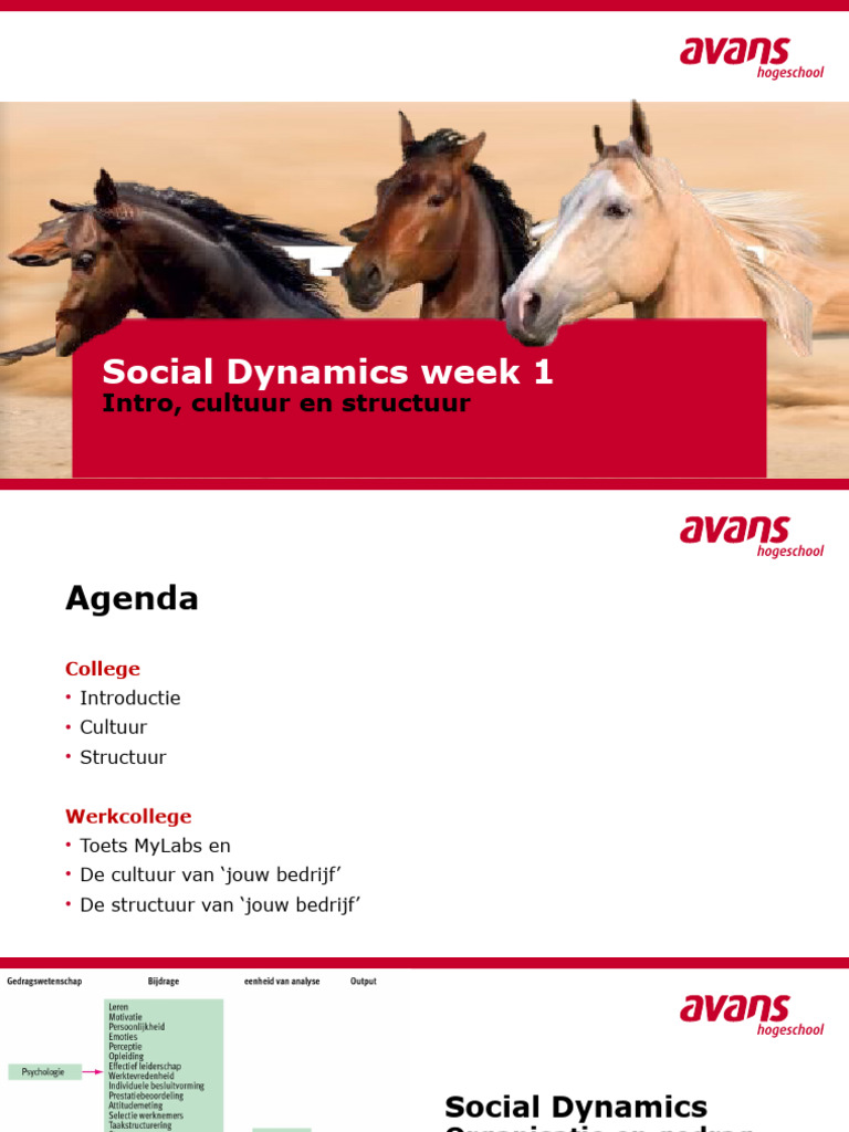 Week 1 - Intro, Cultuur en Structuur | PDF