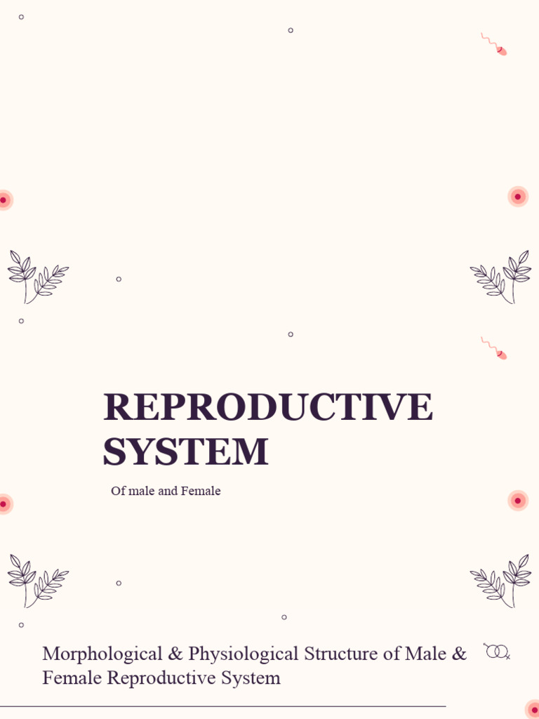 Q3 Science Reproductive System 1 | PDF | Reproductive System | Human Body