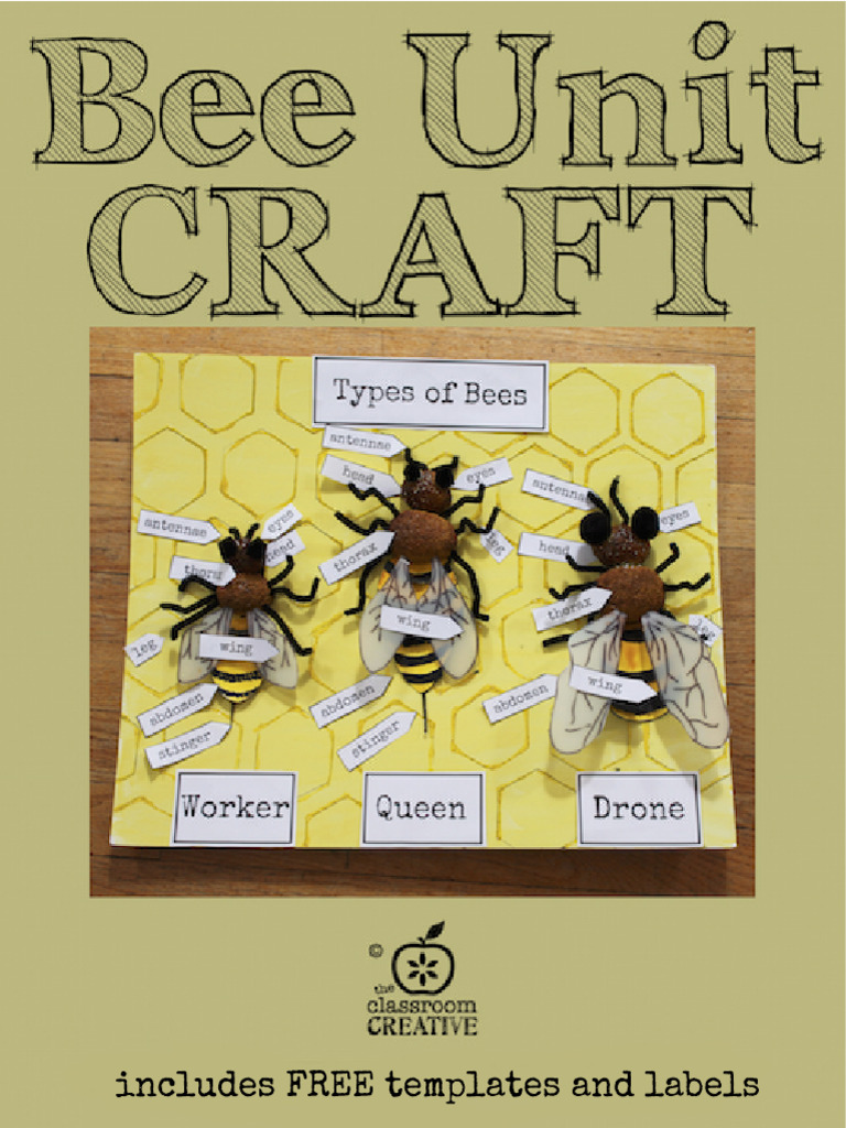 Bee Unit Craftivity The Classroom Creative | Download Free PDF ...