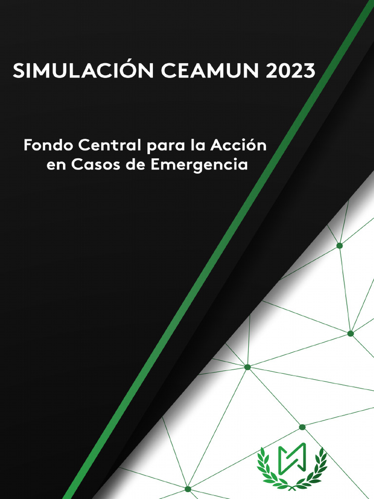 Introducción al CERF y su Estructura | PDF | Naciones Unidas ...