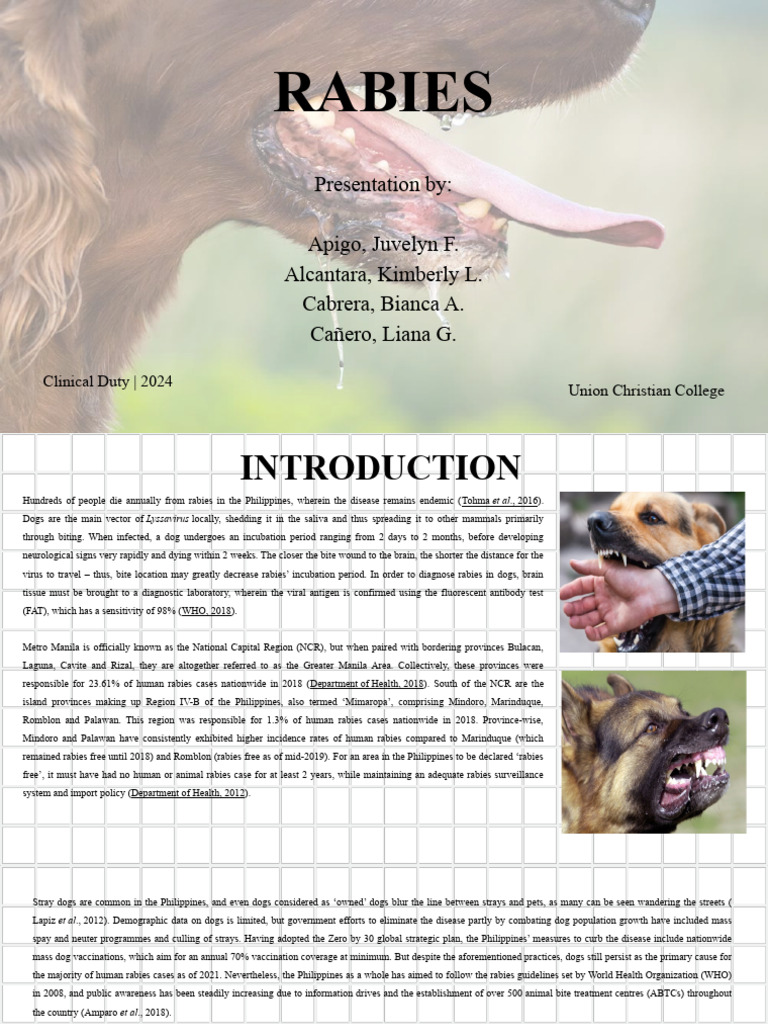 Group 2 BSN 2g Rabies | PDF | Rabies | Virus