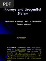 Urology Medical Terminology | PDF | Urinary System | Kidney