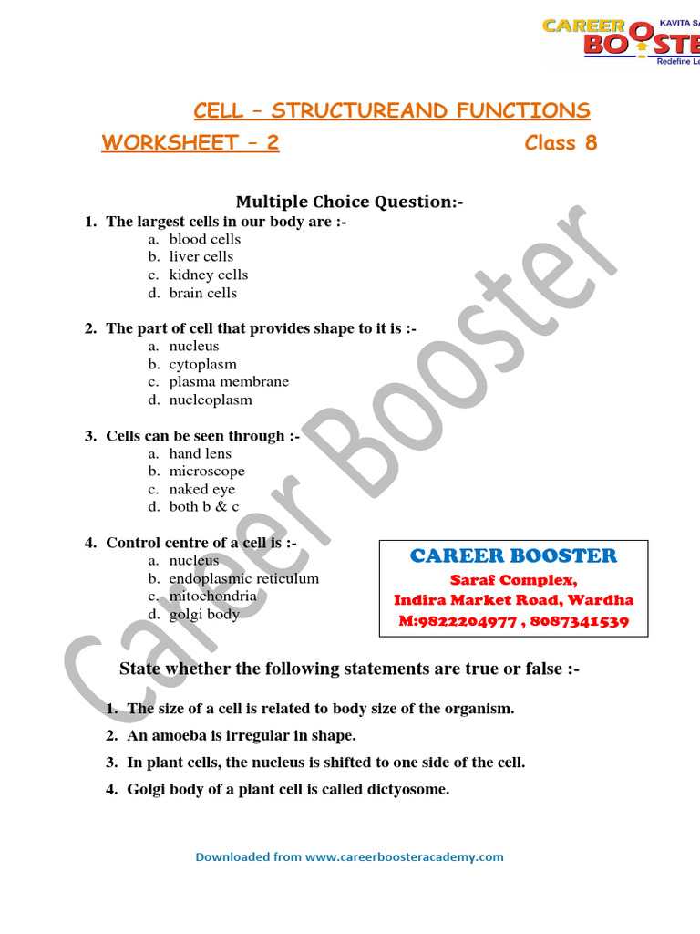 Class 8 - Science - Cell - Structure and Functions - WORKSHEET | PDF | Cell (Biology) | Cytoplasm