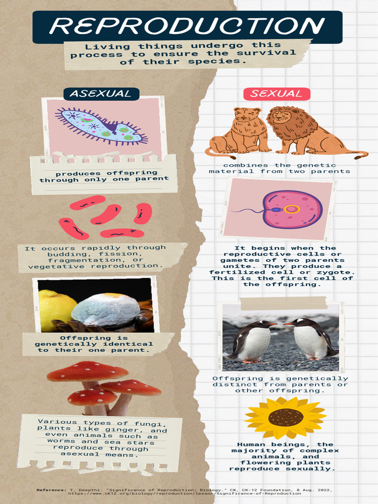 Reproduction Science Infographic in Brown Scrapbook Style | PDF