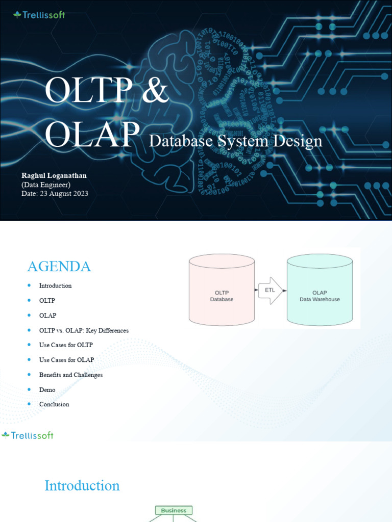 DataTeam-LMS (OLTP&OLAP) | PDF | Systems Science | Data Management
