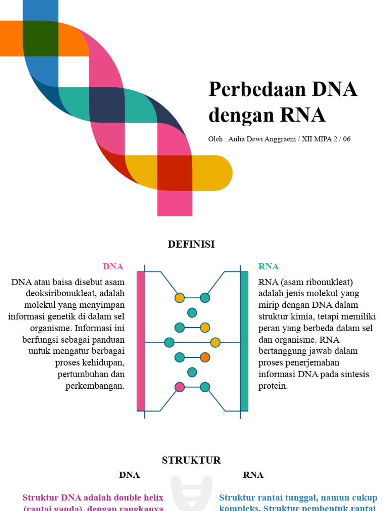 Perbedaan DNA Dengan RNA | PDF