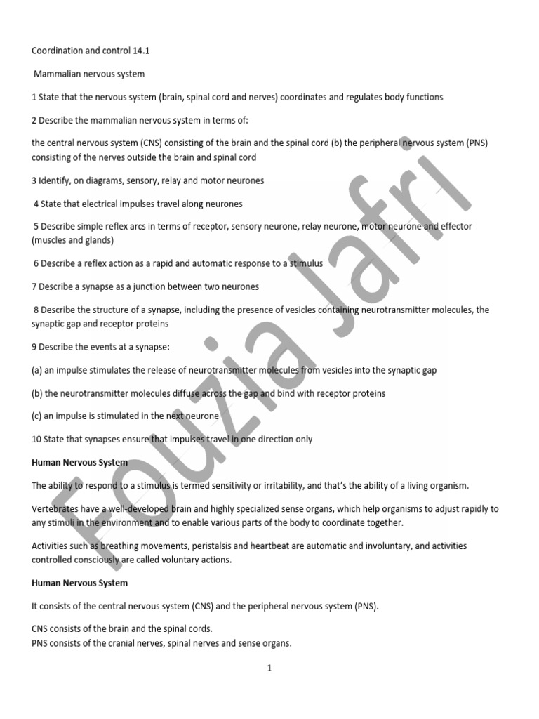 Nervous Sys Biology | PDF | Axon | Neuron