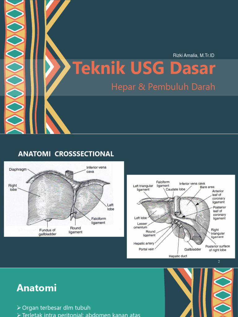 Teknik USG Dasar Hepar | PDF