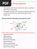 Understanding the Eight Sensory Systems | PDF | Senses | Taste