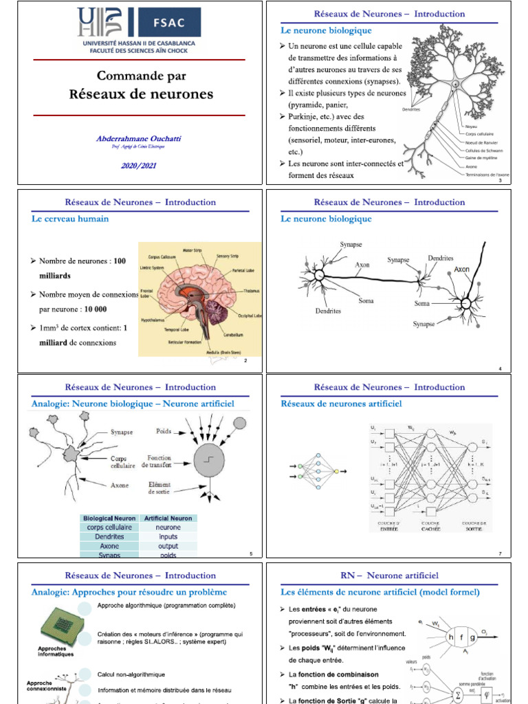 Réseaux de Neurones - 2021 - 1 | PDF