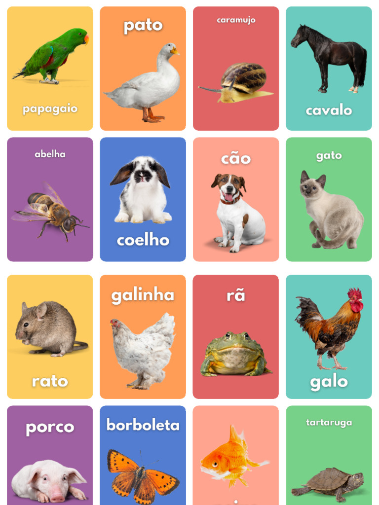 Aprenda Sobre Os Animais Foto Flashcards | PDF