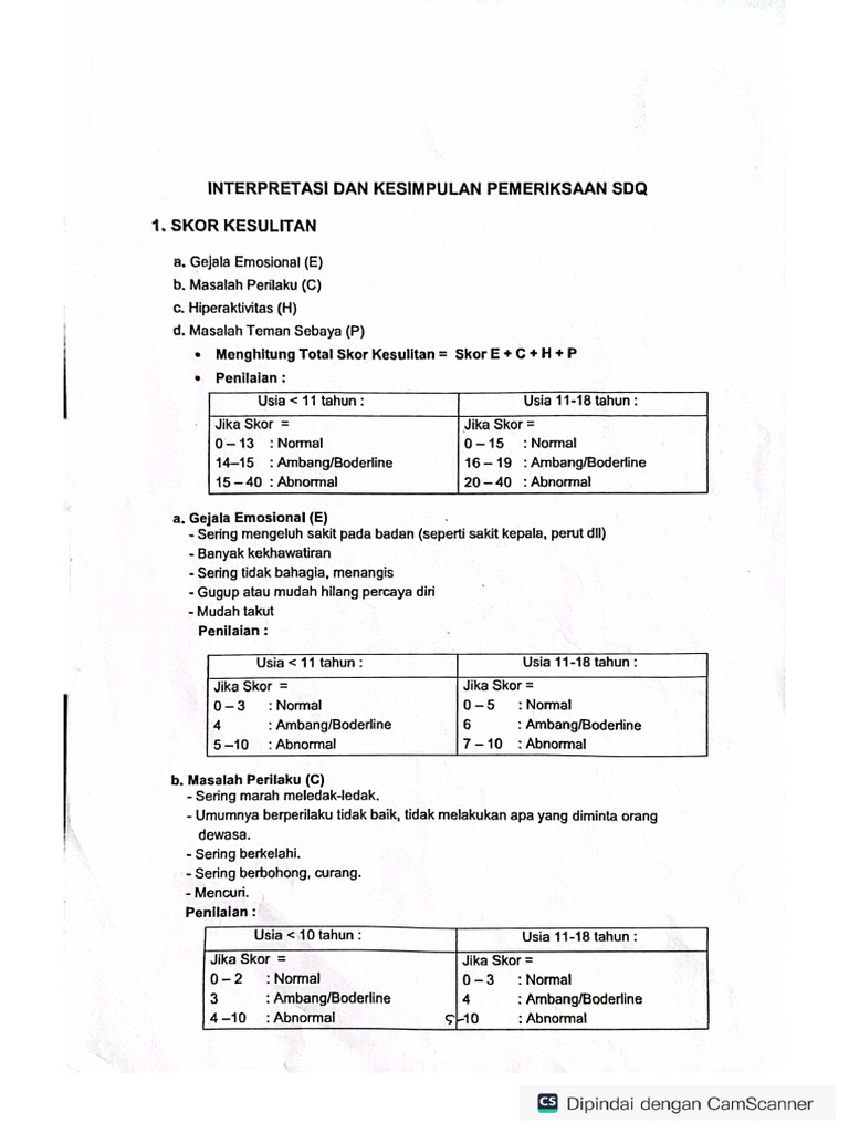 Interpretasi SDQ | PDF