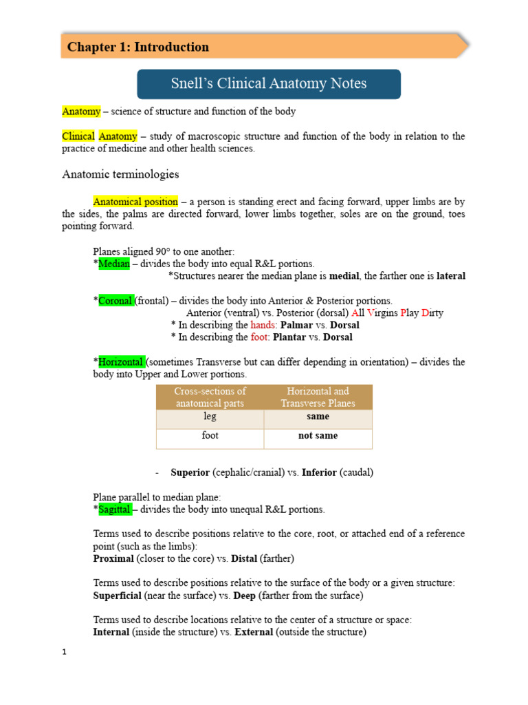 Snells's Anatomy Chap 1 | PDF | Anatomical Terms Of Motion | Bone