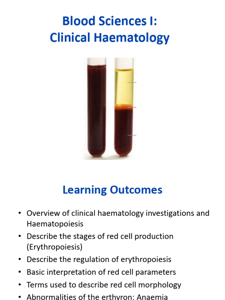 Blood Sciences | PDF | Haematopoiesis | Red Blood Cell