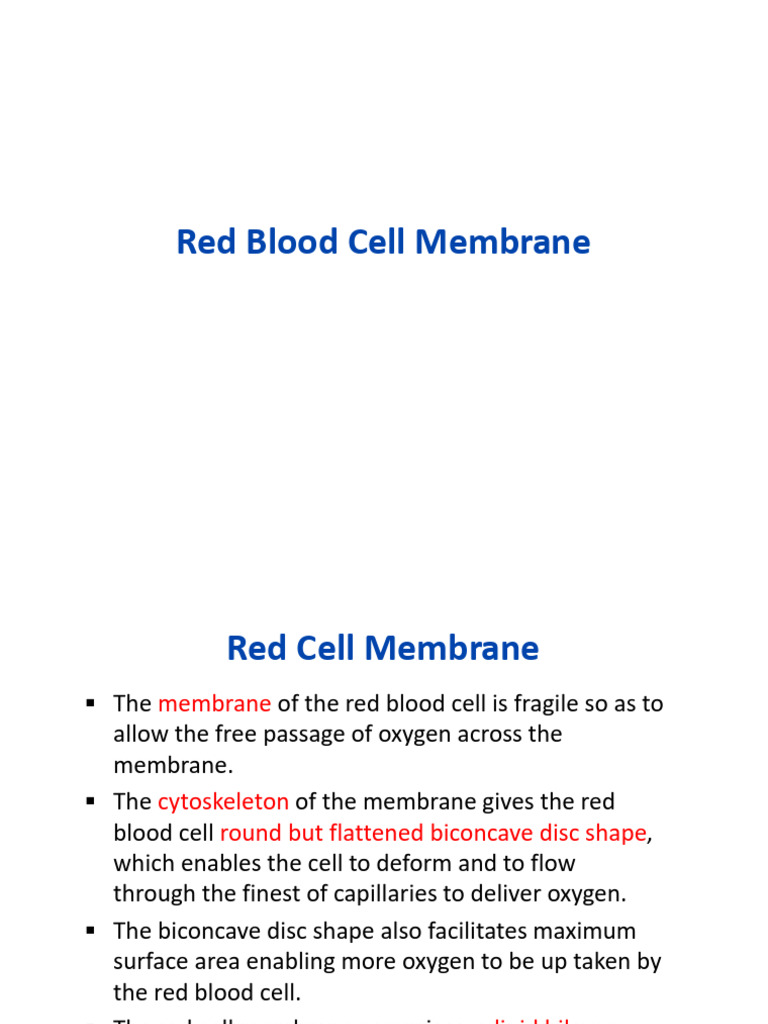 Red Blood Cell Membrane | PDF | Red Blood Cell | Lipid Bilayer