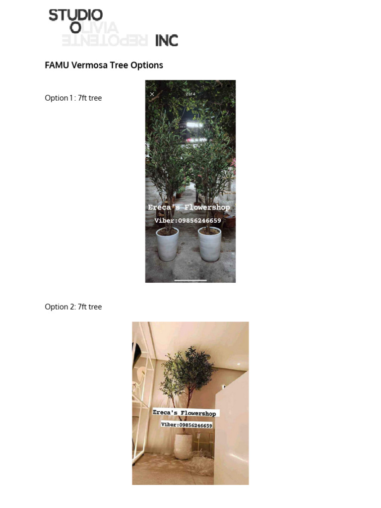 FAMU Vermosa Tree Options - 23 January 2024 | PDF