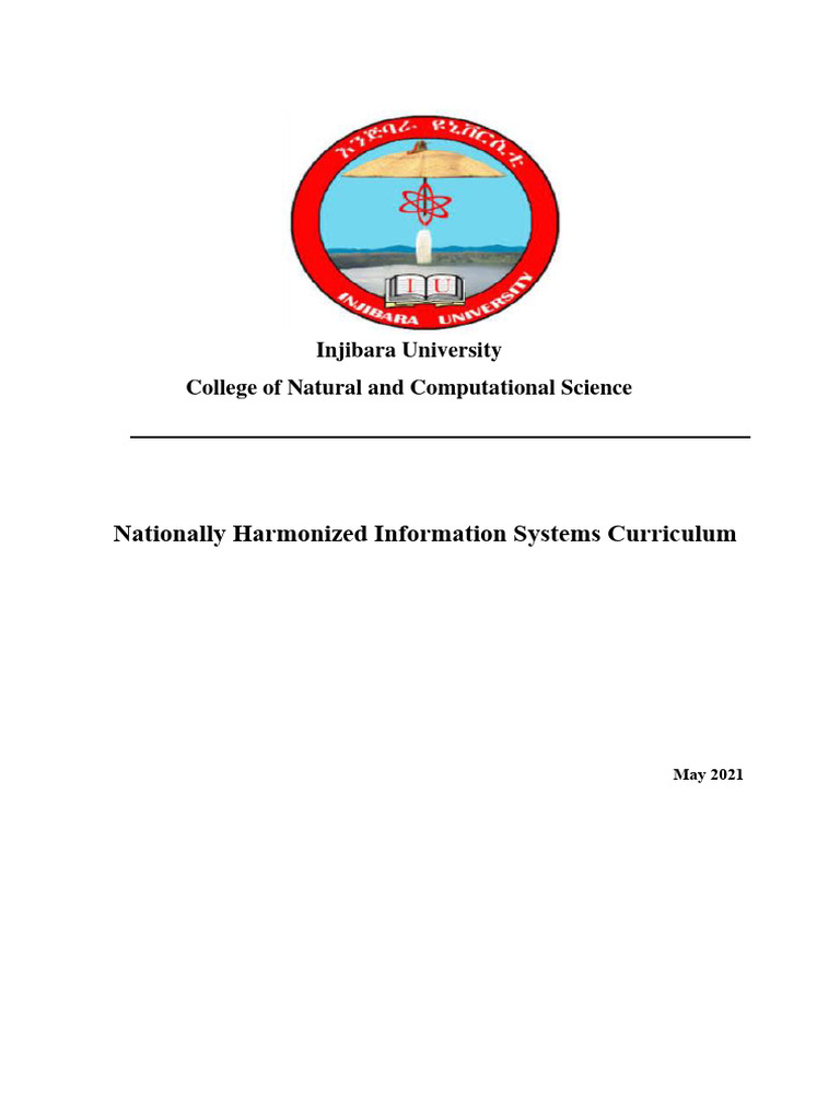 Information Systems Curriculum 2021 Final | PDF | Information System | System
