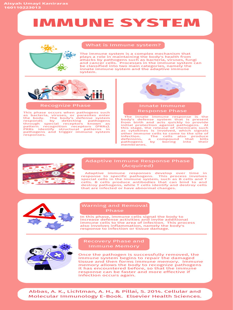 Aisyah Umayi - Infografis Patologi | PDF | Immune System | Innate Immune System
