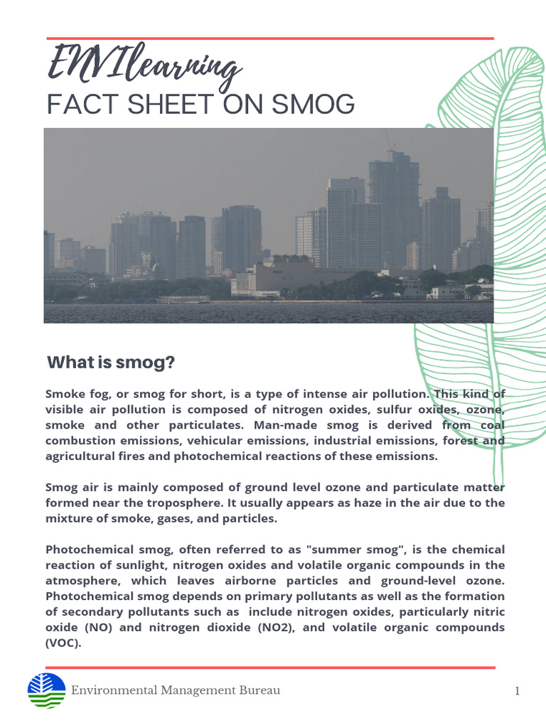 Fact Sheet On Smog | PDF | Smog | Air Pollution