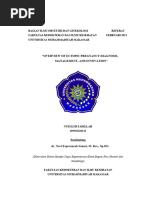 Puqe Index Assessment | PDF