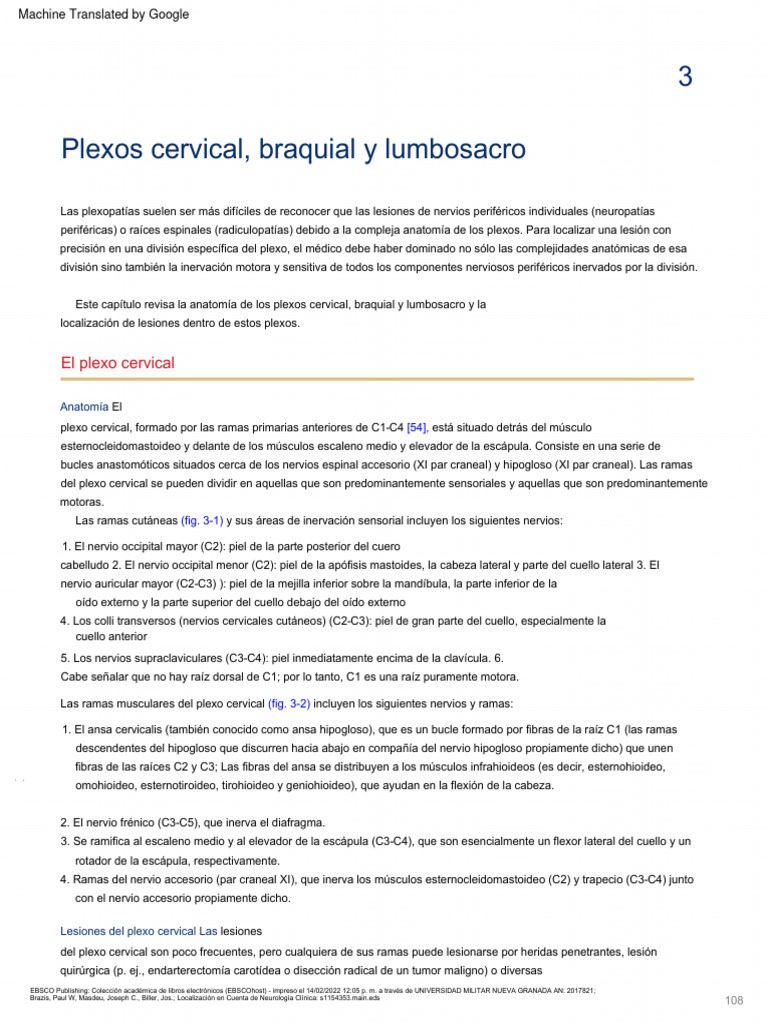 Capitulo 3 Brazis (Español) | PDF | Anatomía humana | Sistema ...