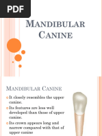 Upper Canine Tooth Anatomy Overview | PDF | Dental Anatomy | Dentistry