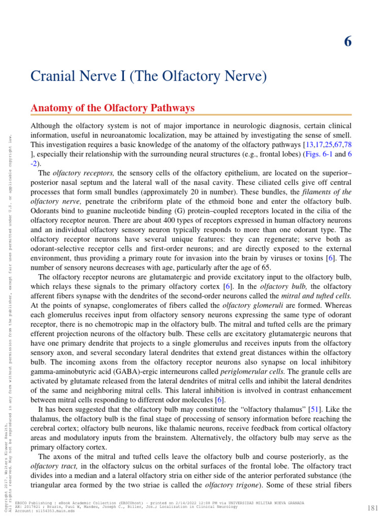 Cranial Nerve I (The Olfactory Nerve) Capitulo 6 | PDF | Olfactory ...