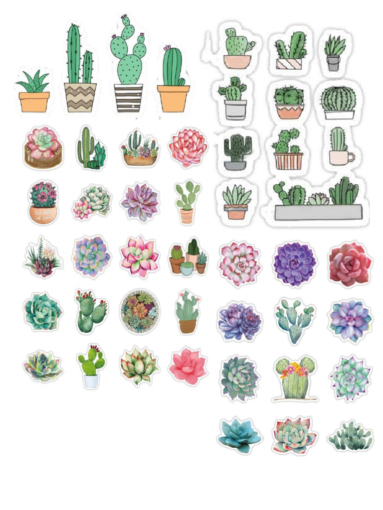 Cactus | PDF