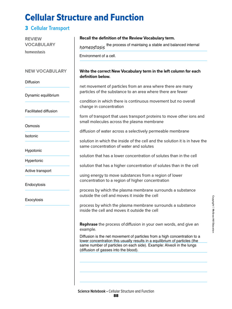 Cellular Structure and Function | PDF | Osmosis | Cell Membrane