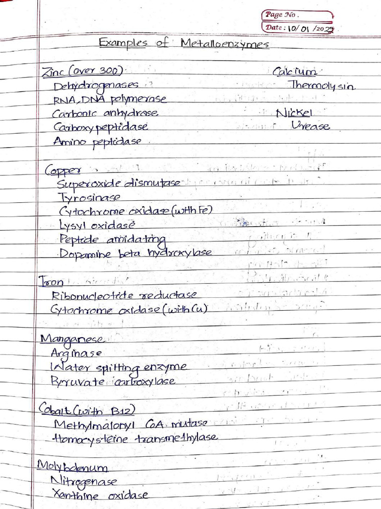 C556 Notes Suchi Compressed | PDF