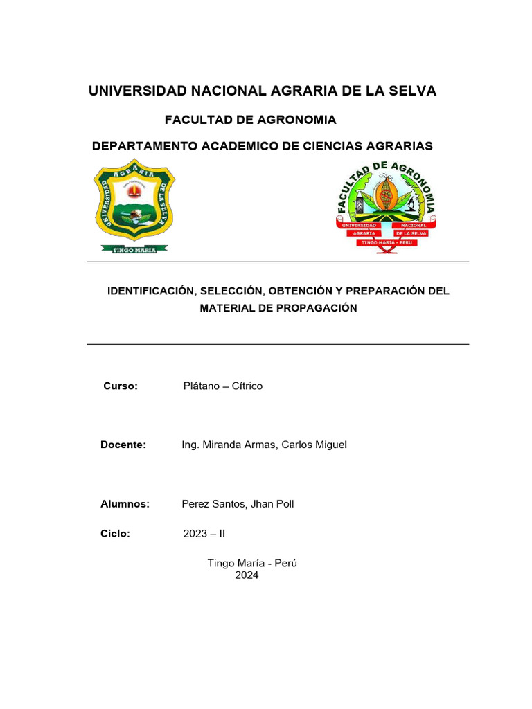 Informe 2 Platano Original | PDF | Botánica | Plantas