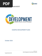 Job Leveling Global Grading and Career Map | PDF | Employment | Strategic Management