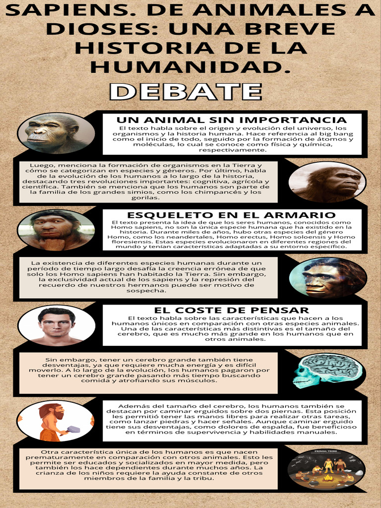 Infografia Maura Castillo | PDF | Homo | Humano