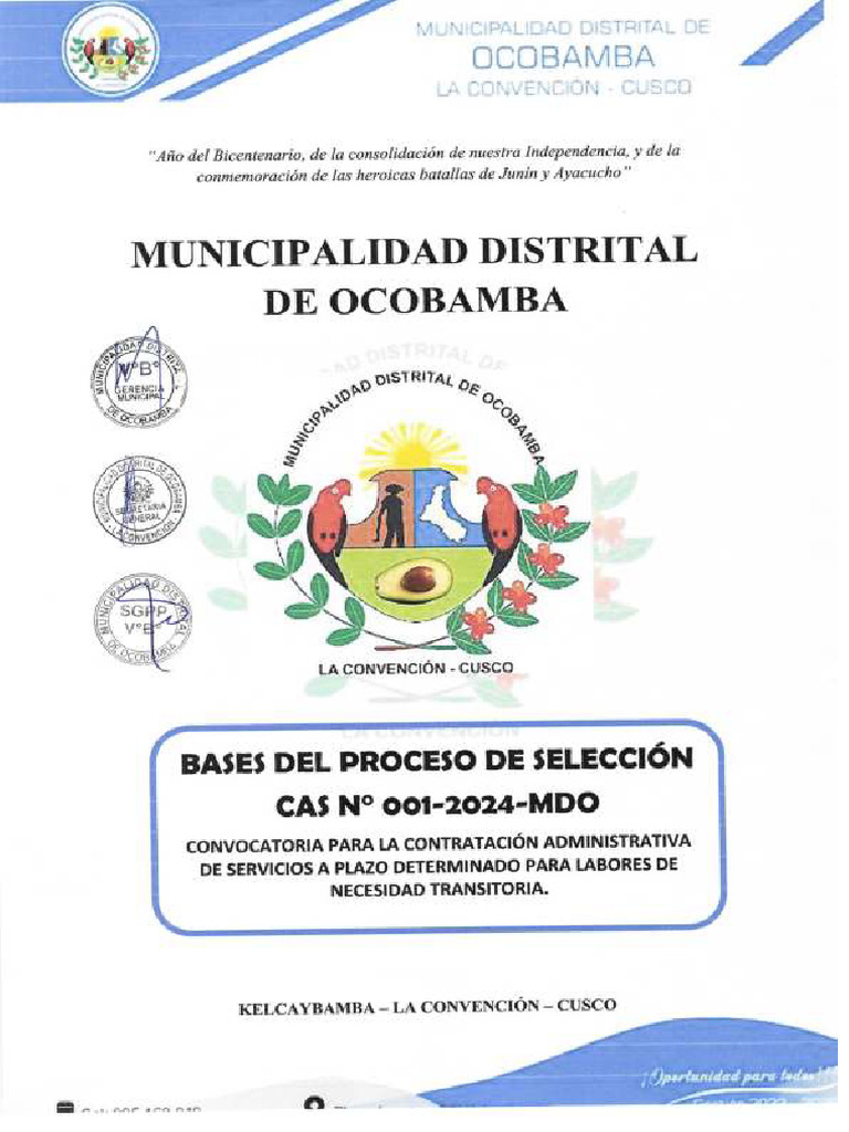 Bases Cas 001 2024 Mdo | PDF