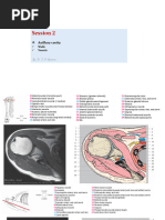 Rotator Cuff and Shoulder Conditioning Program - OrthoInfo - AAOS | PDF ...