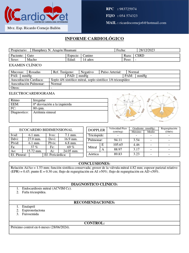 Informe Cardiológico (Gato Control 1) | PDF | Medicina Interna ...
