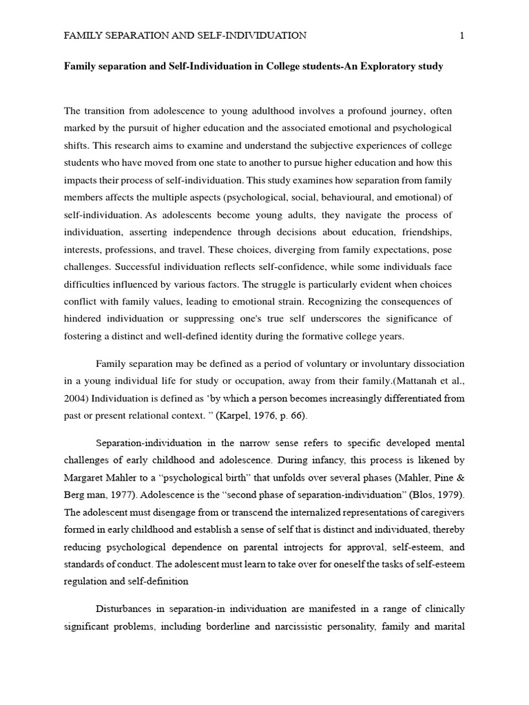 Pfpi Report Final2 | PDF | Case Study | Attachment Theory