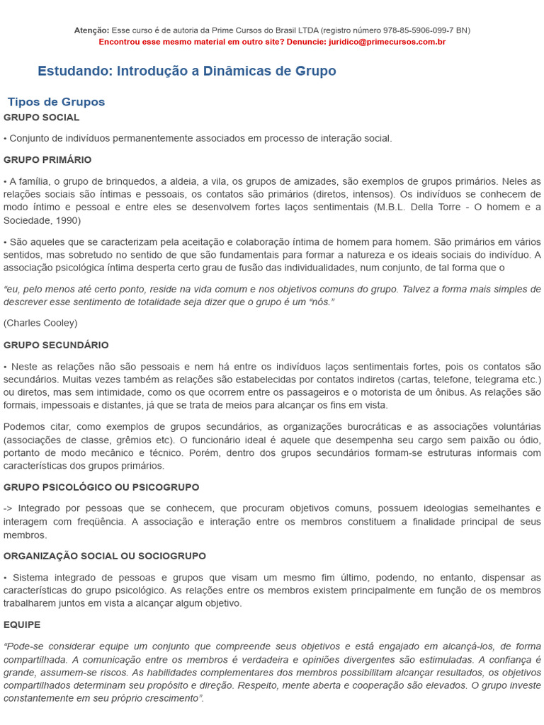 5 Tipos de Grupos | PDF