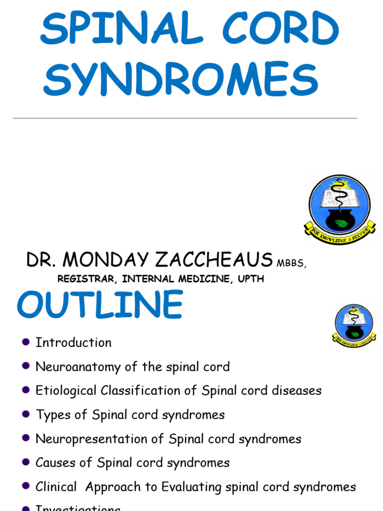 Lhermitte's Syndrome Overview | PDF | Spinal Cord | Vertebral Column