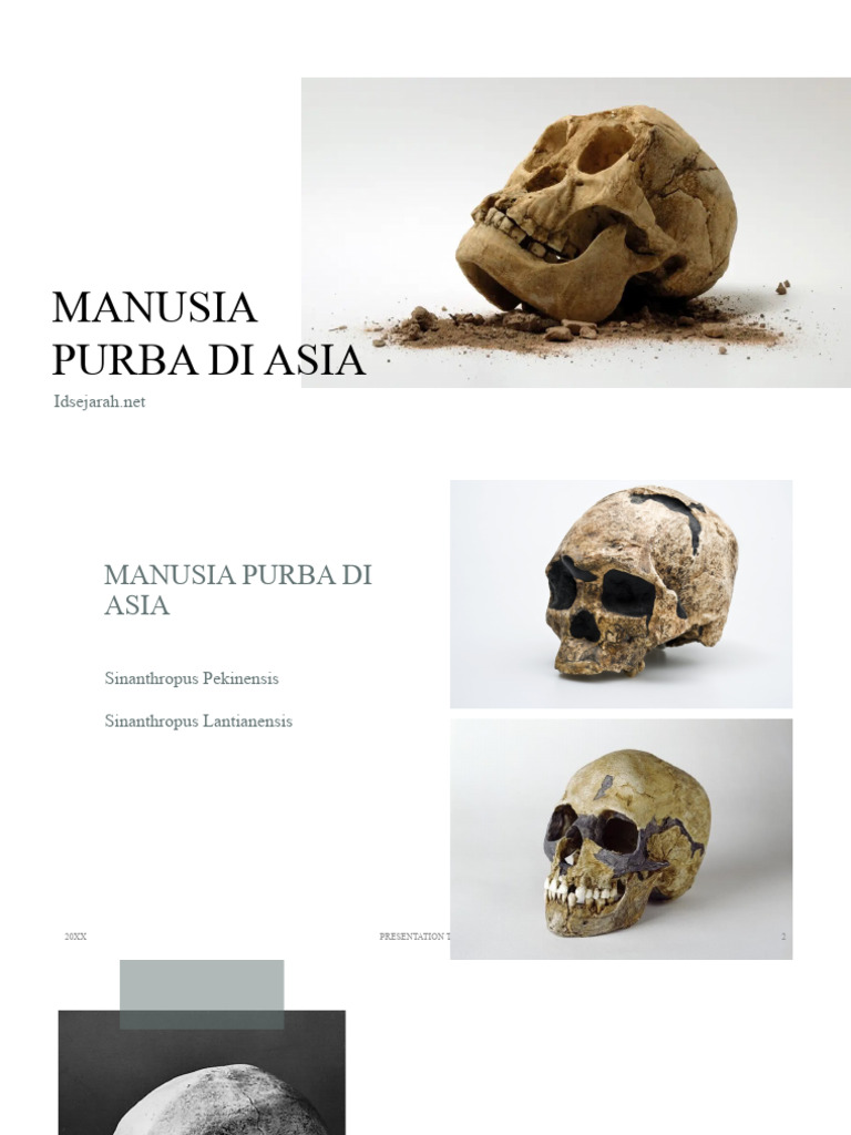 Manusia Purba Sinanthropus di Asia | PDF | Ilmu Sosial | Fiksi Umum
