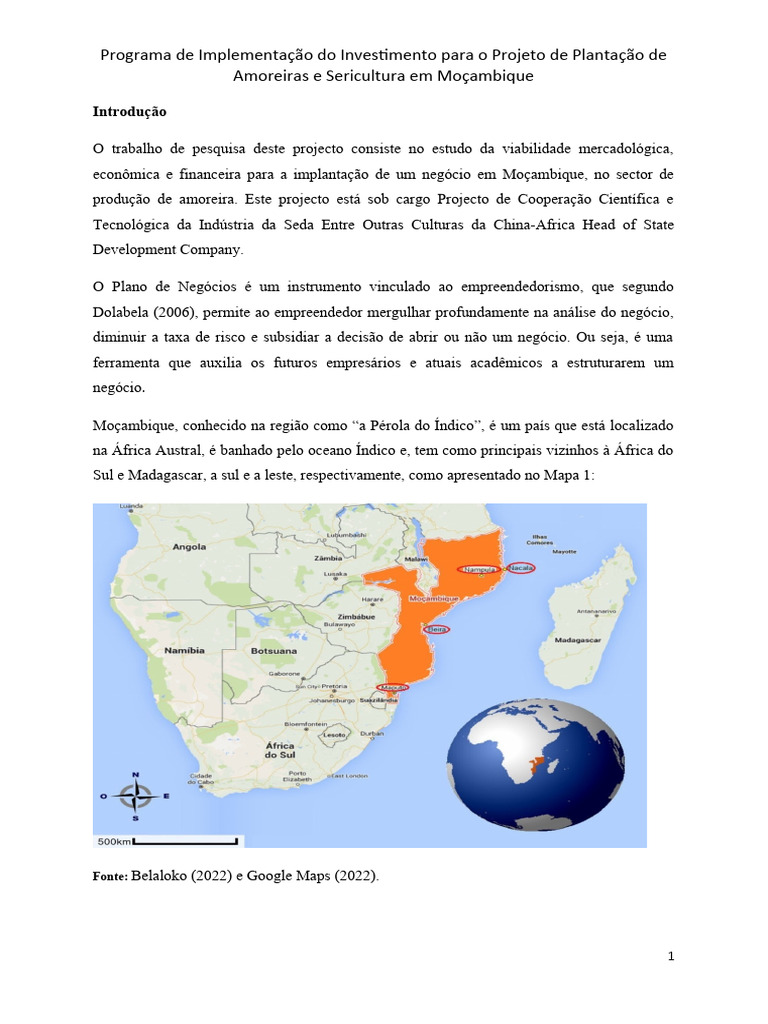 Plano .EGAS | PDF | Plano de negócios | Seda
