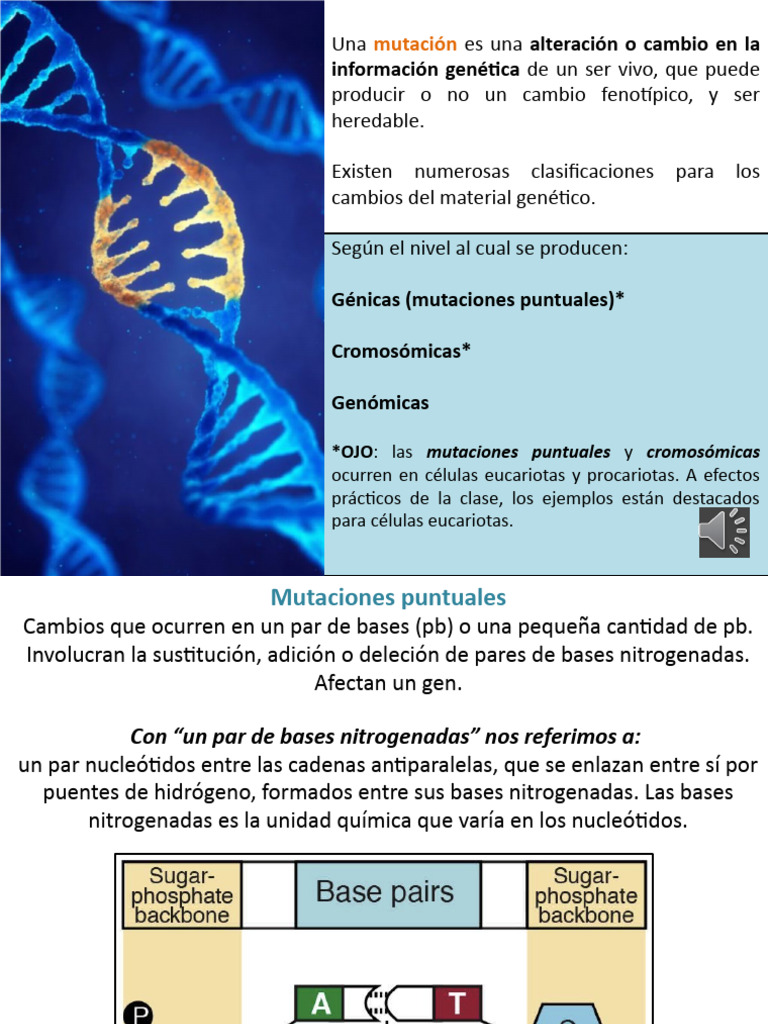 Mutaciones Genéticas: Tipos y Efectos | PDF | Mutación | Gene