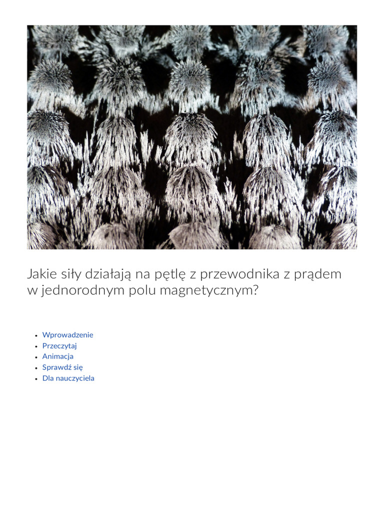 Jakie Sily Dzialaja Na Petle Z Przewodnika Z Pradem W Jednorodnym Polu Magn | PDF